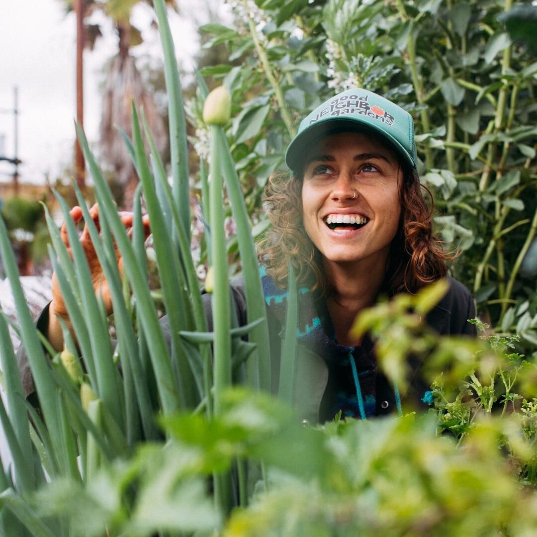 Our Story — Maya Moon Collective