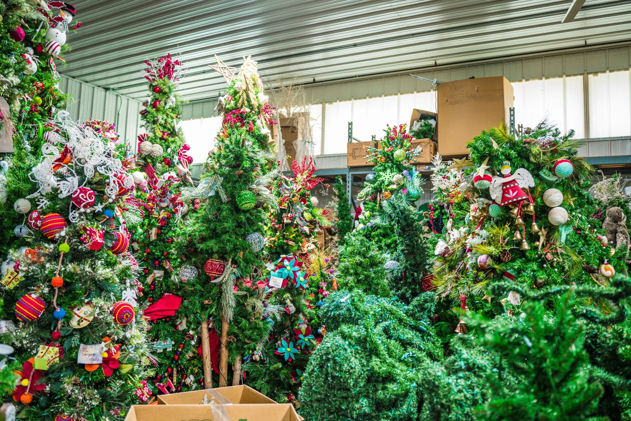 Wilson Services of Central Illinois