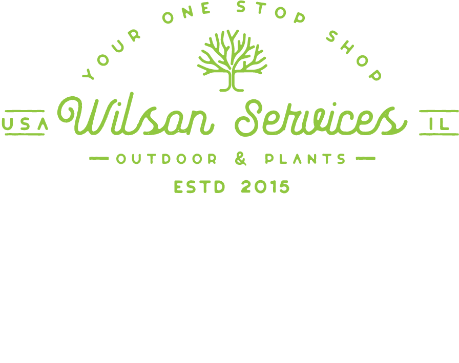 Wilson Services of Central Illinois