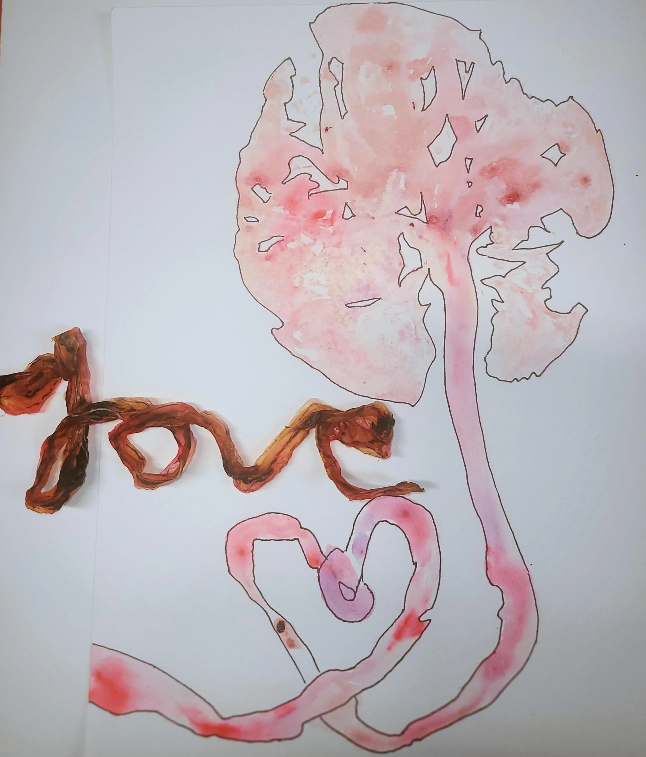 Placenta Encapsulation — JOYFUL ROOTS