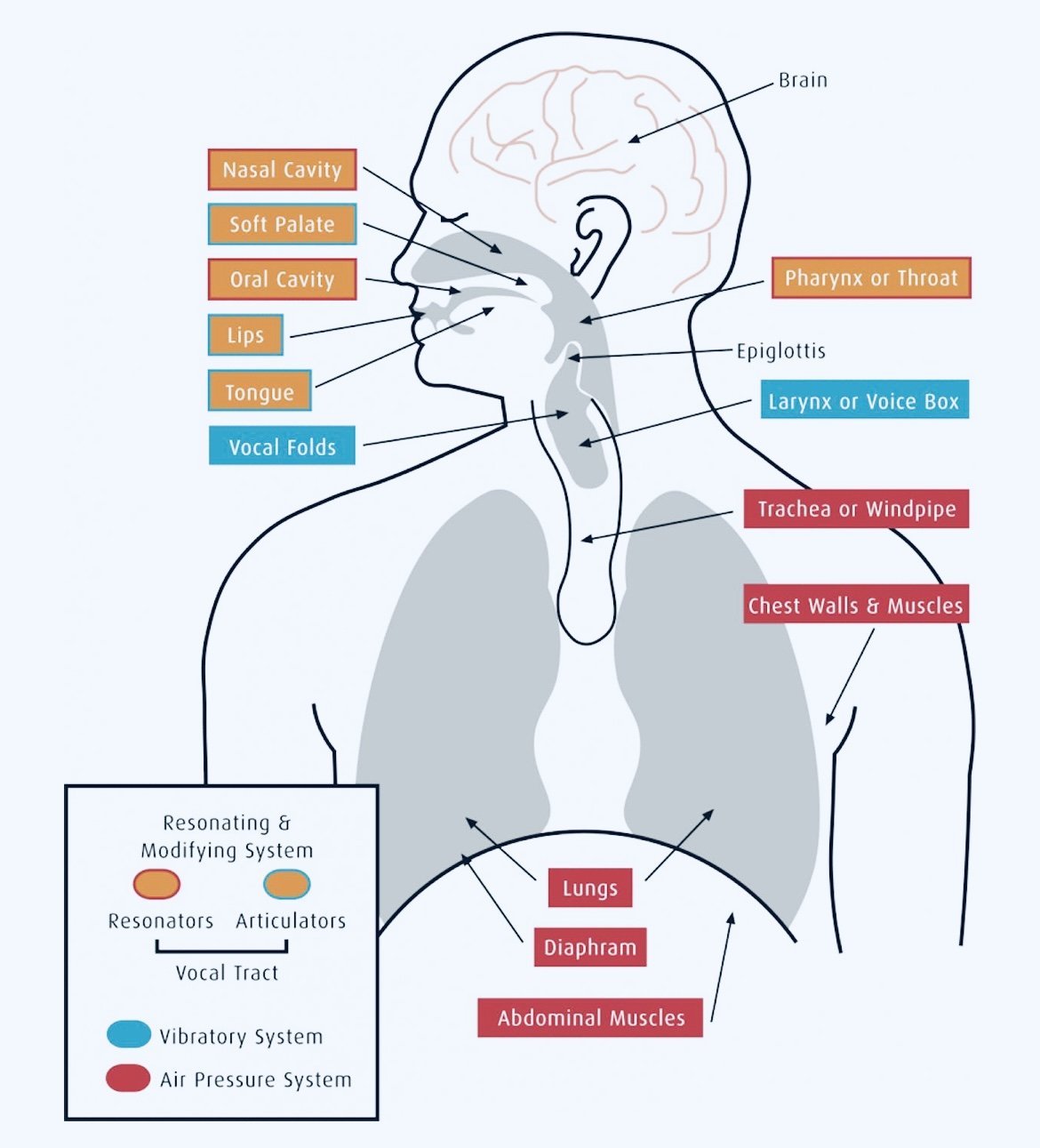 Let’s Talk — The Sound Teacher