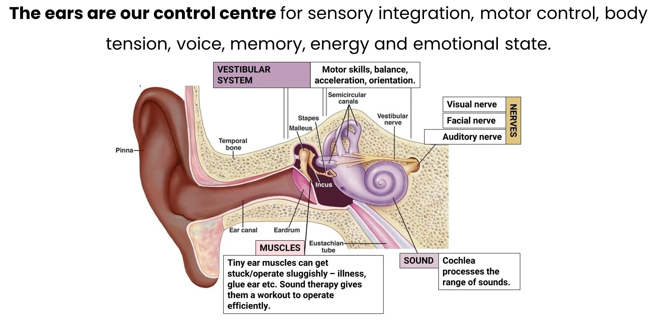Let’s Talk — The Sound Teacher