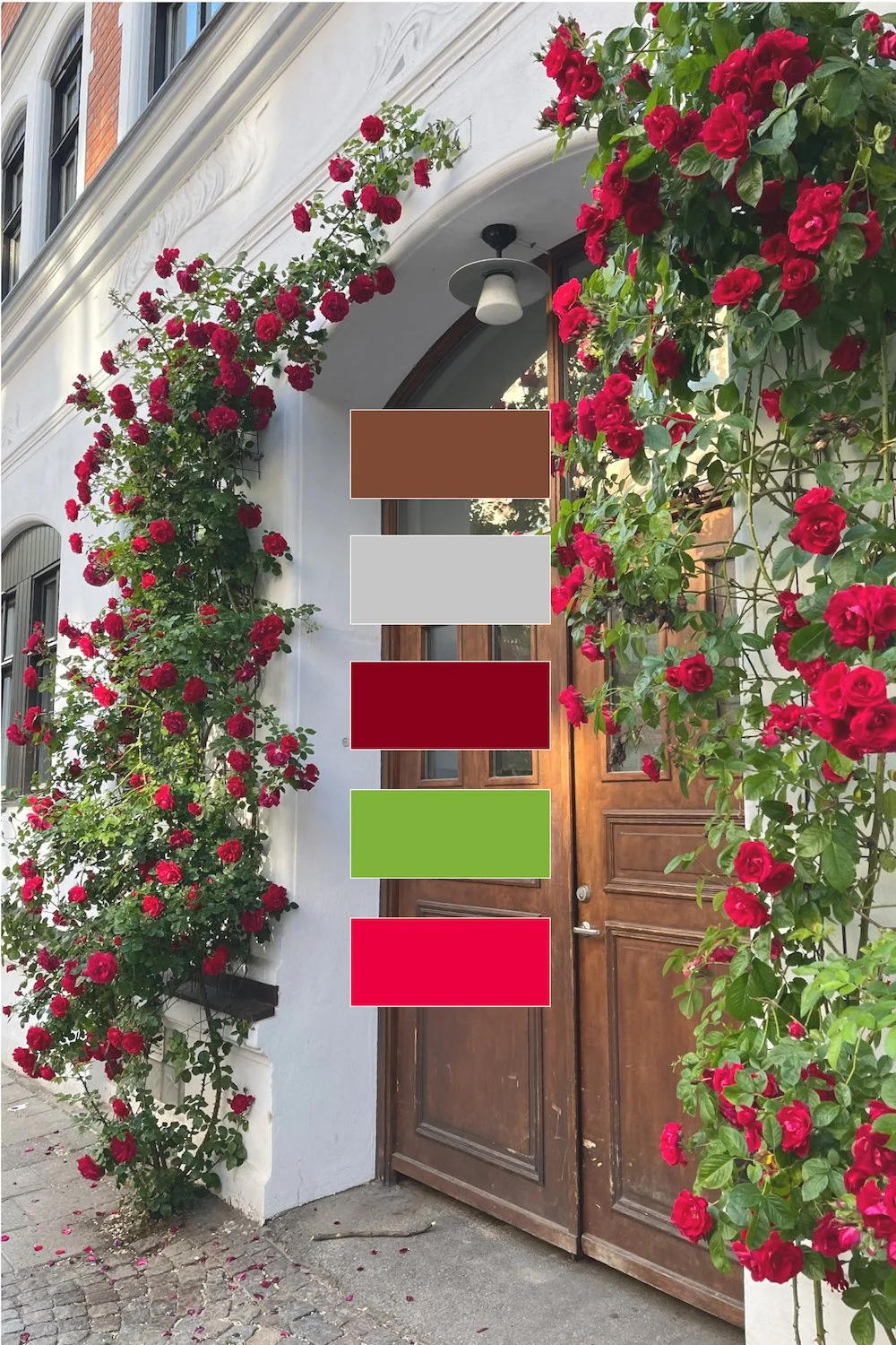 Flower Palettes — Megan McKean │ Australian designer, illustrator & author