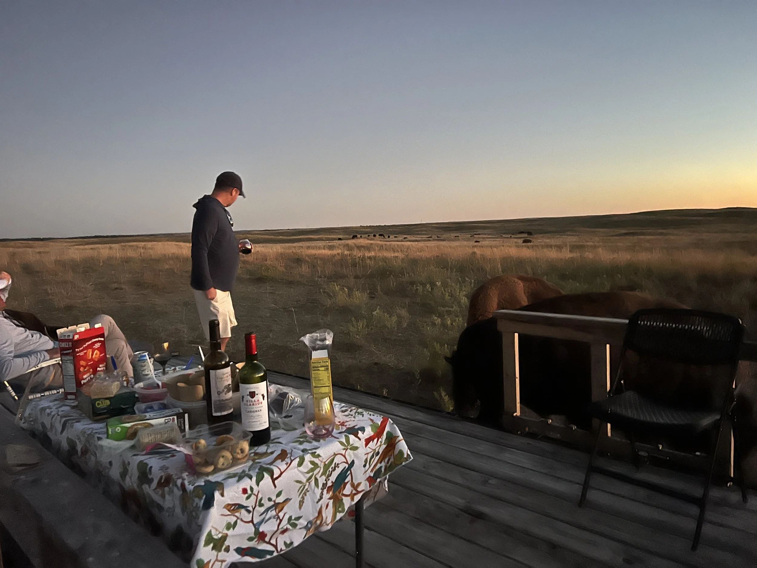Bison Tours — Golden Prairie Bison
