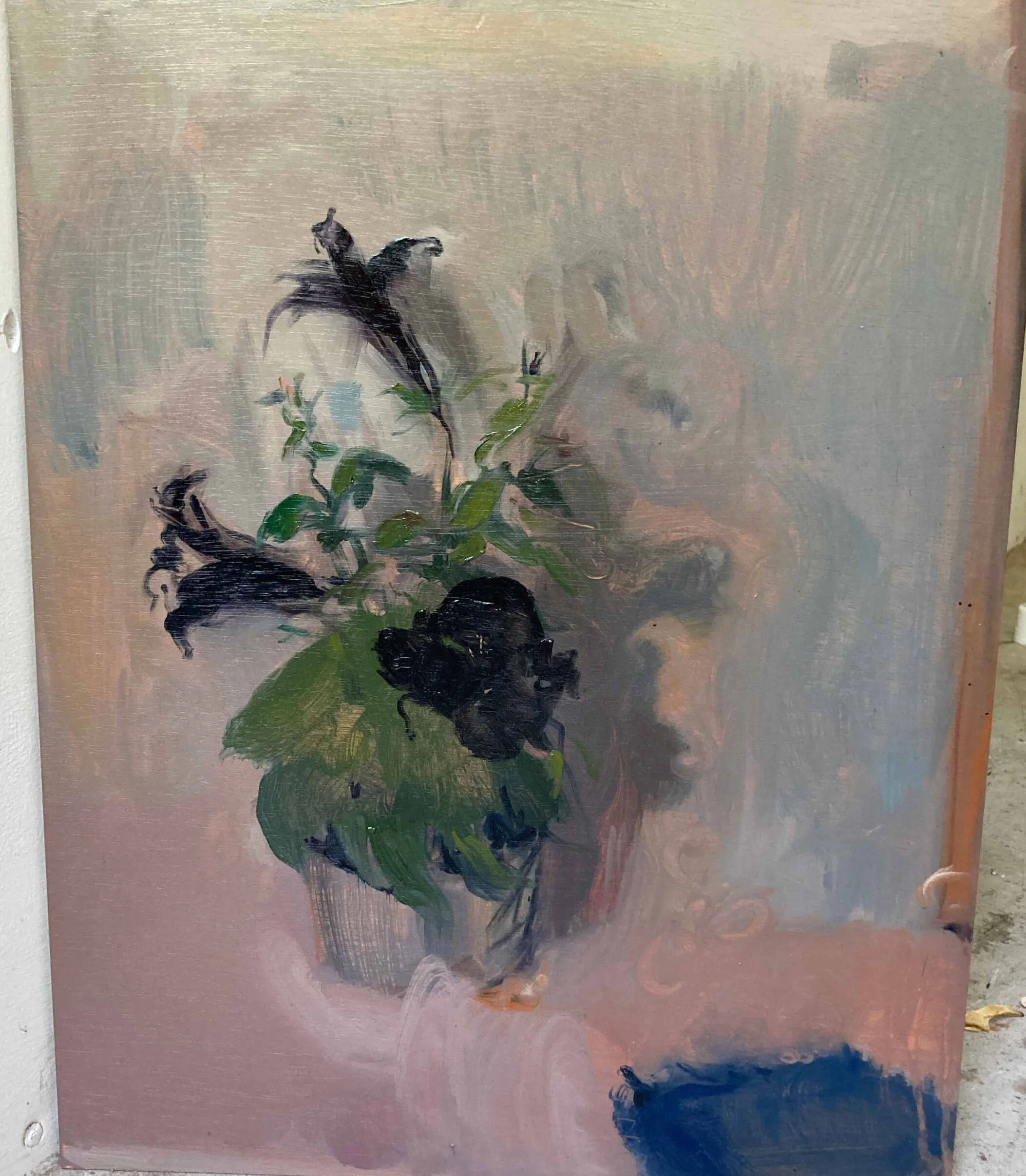 Still Life — Serena Rowe