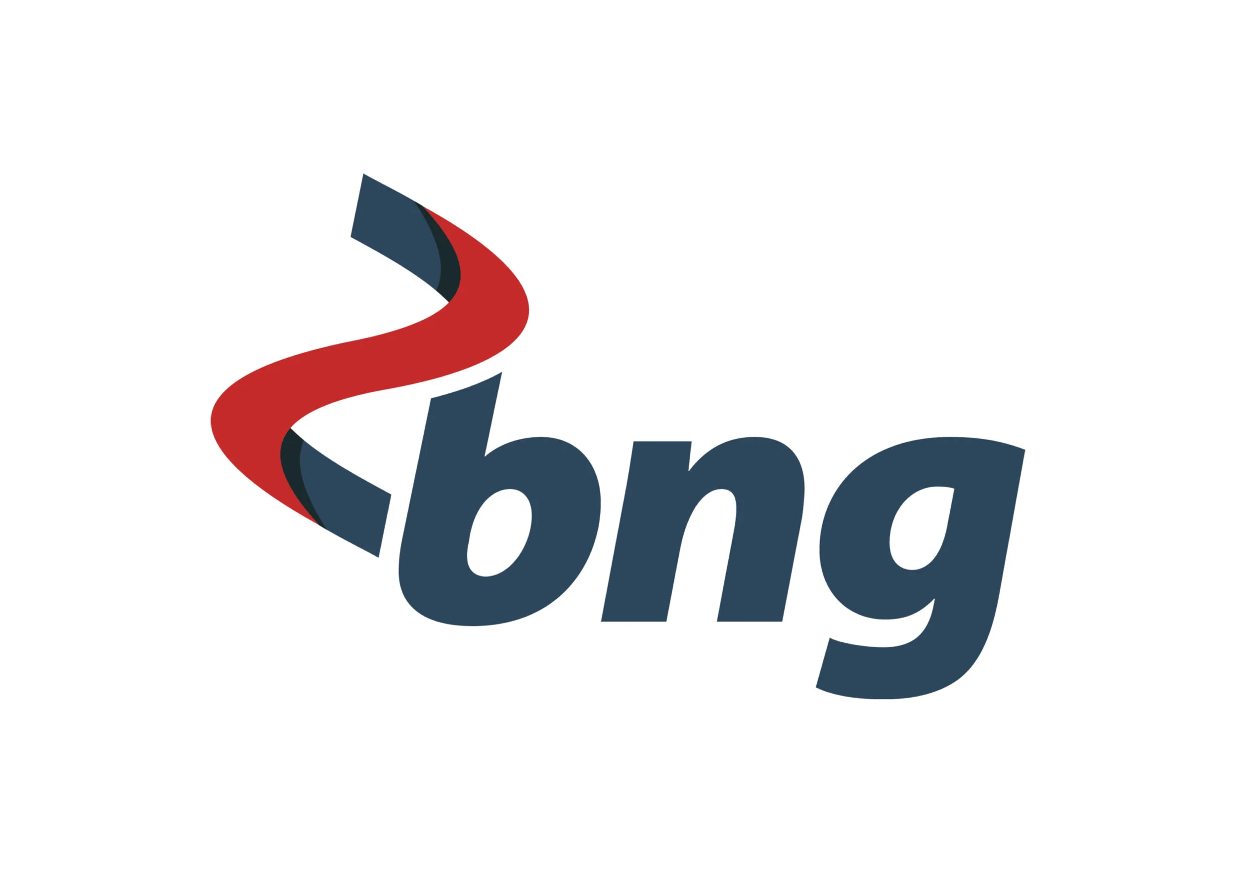 About — People Bright Consulting | REVUP Your Potential