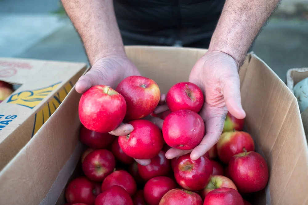 About Kairos Food Rescue — Kairos Food Rescue