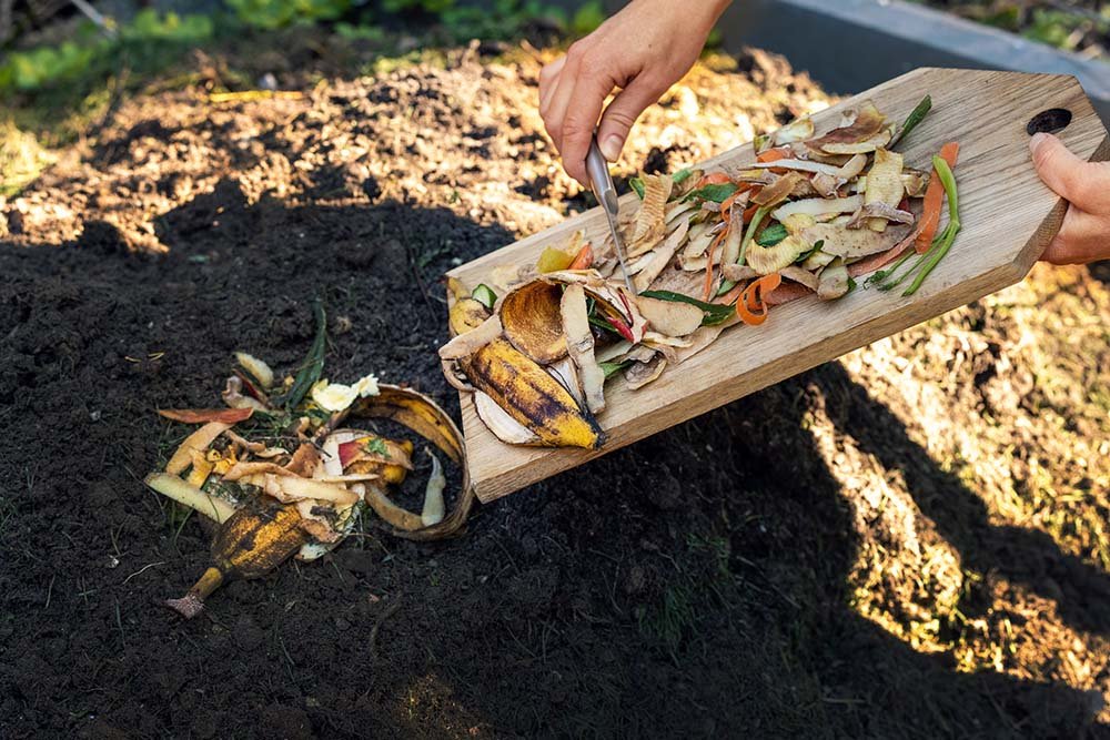 10 Effective Ways to Reduce Food Waste in Your Household — Kairos Food ...