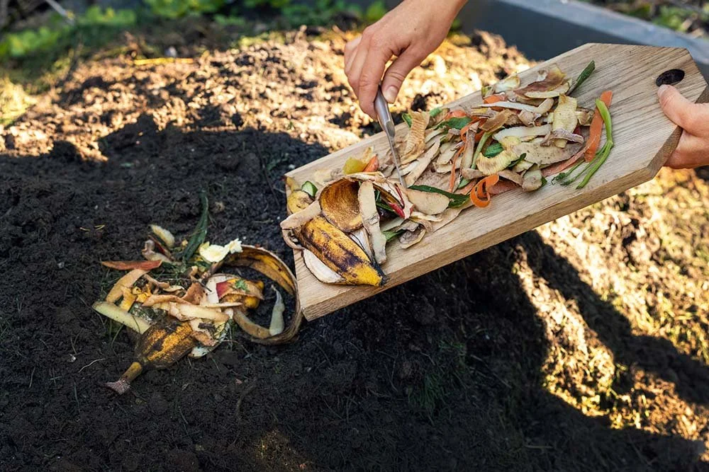 10 Effective Ways to Reduce Food Waste in Your Household — Kairos Food ...