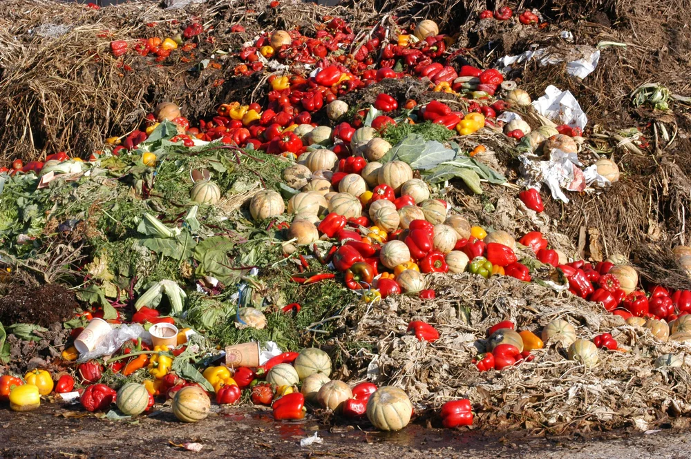 Who’s wasting all the food? — Kairos Food Rescue