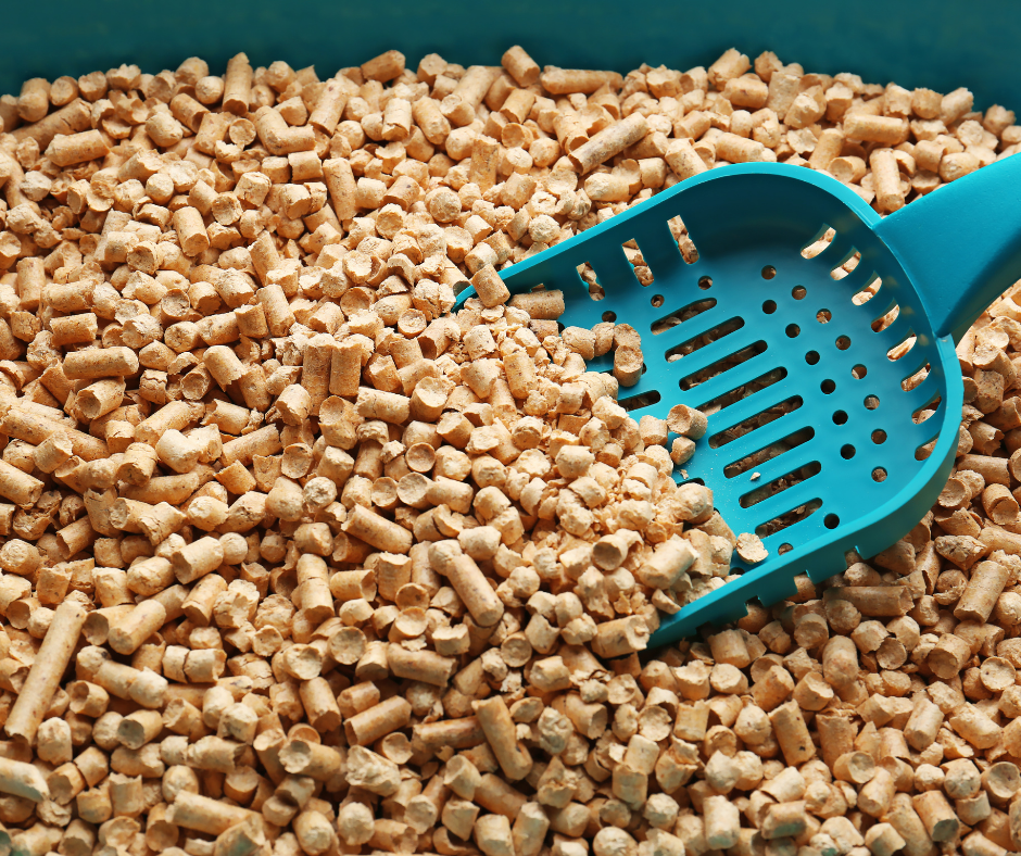 How To Choose The Right Cat Litter - Doncaster Vet