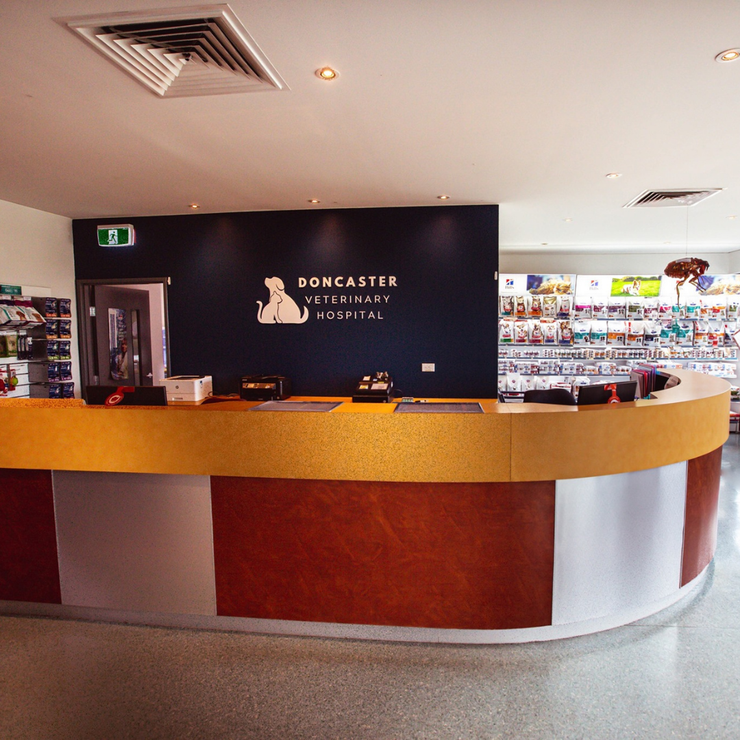 Specialist reproduction and general vet care - Doncaster Vet