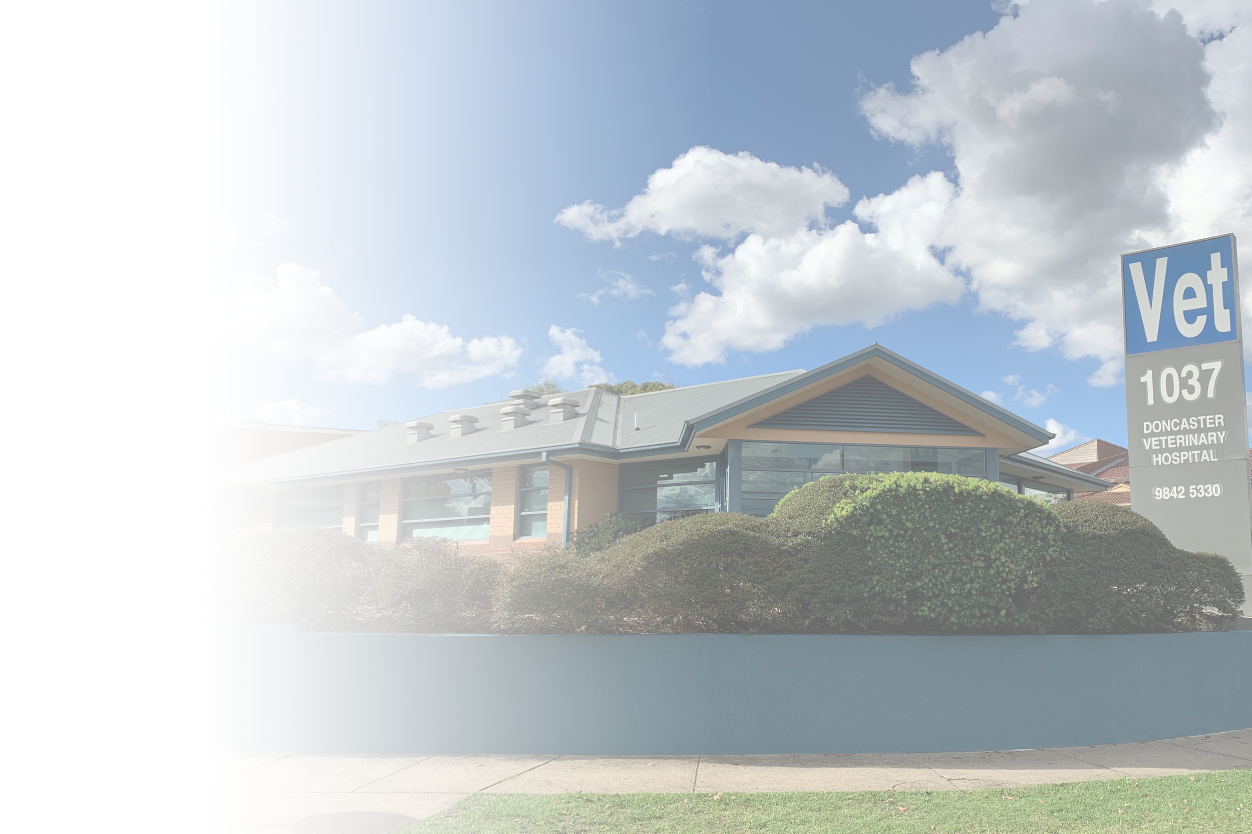 Specialist reproduction and general vet care - Doncaster Vet