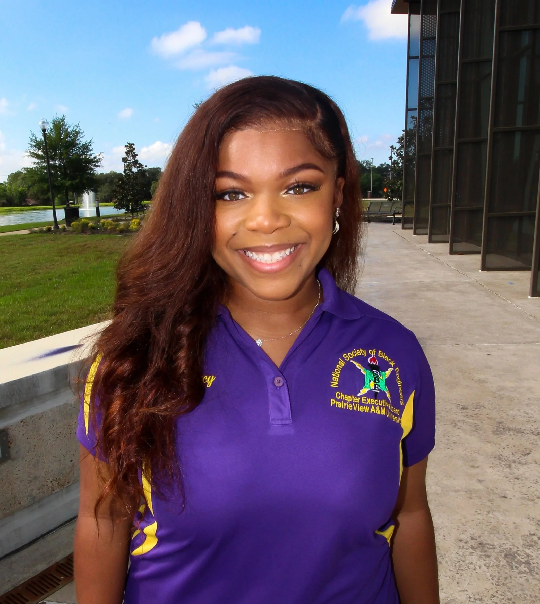 Chapter Executive Board — PV NSBE