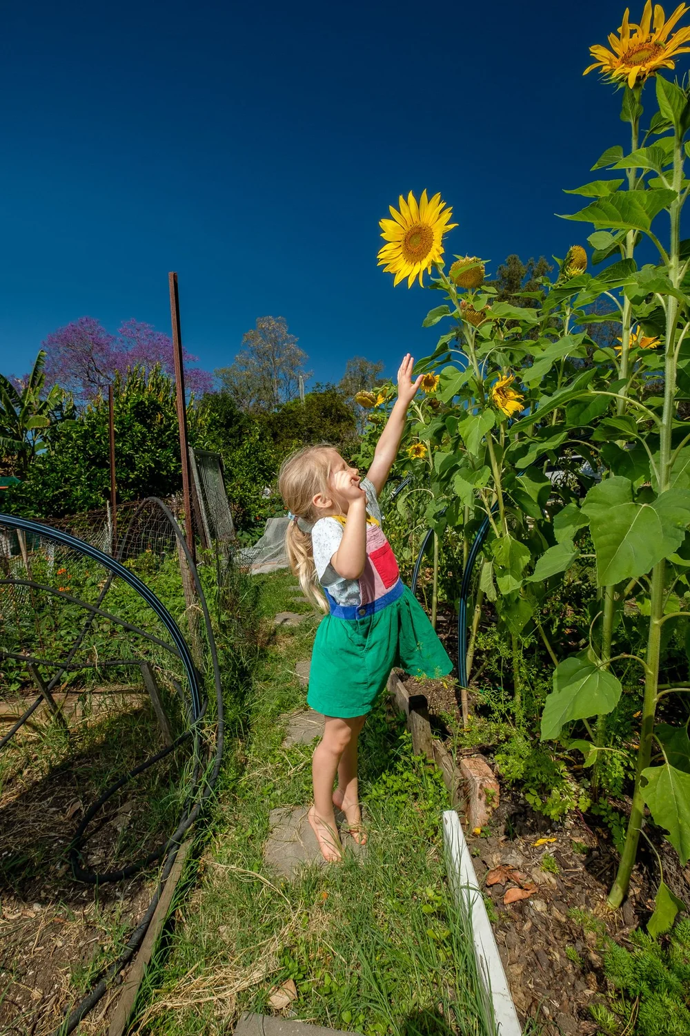 Nature Babes — Benarrawa