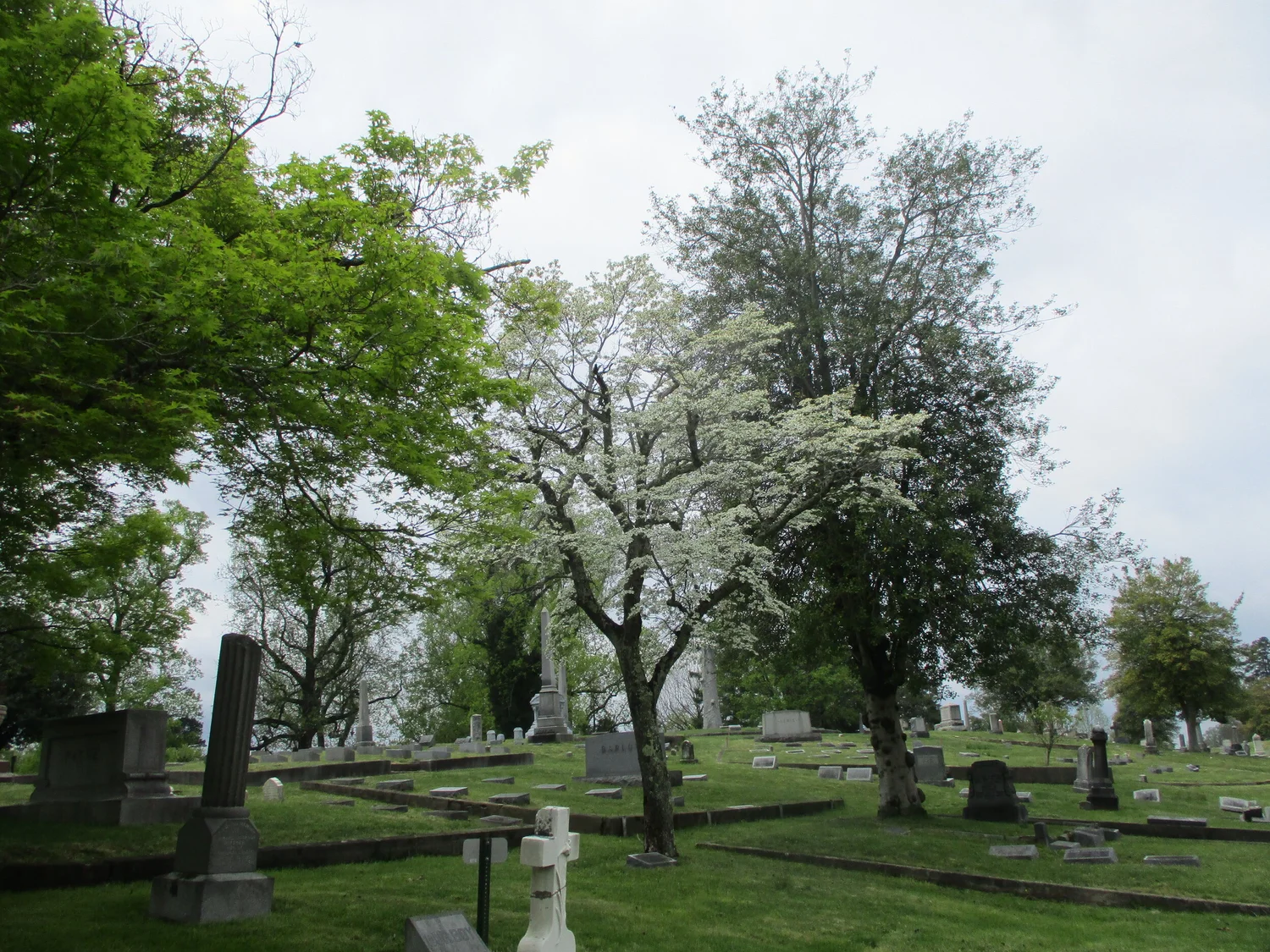 Burial List — Spring Hill Cemetery