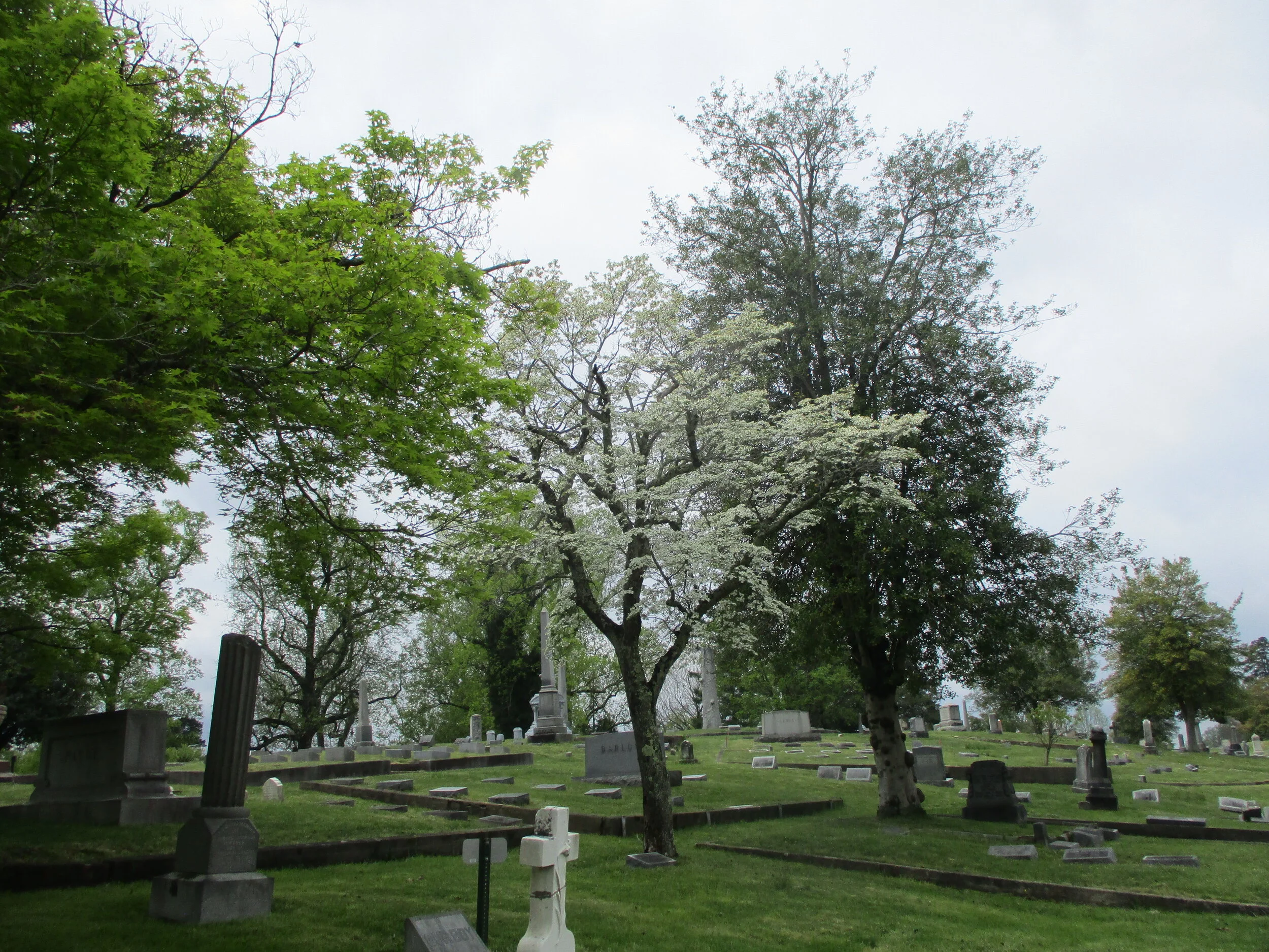 Burial List — Spring Hill Cemetery