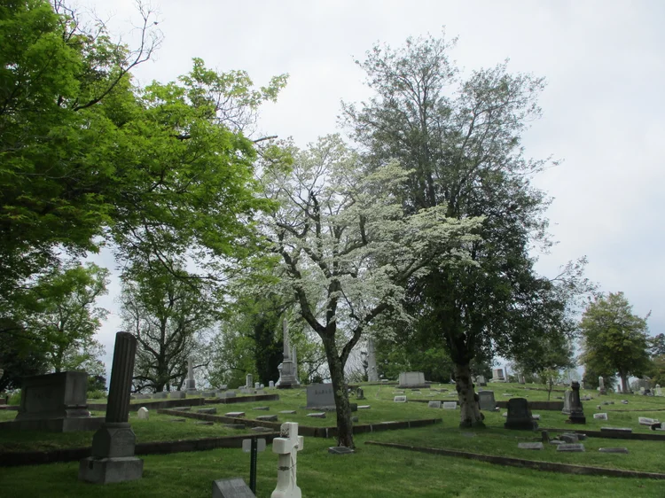 Burial List — Spring Hill Cemetery