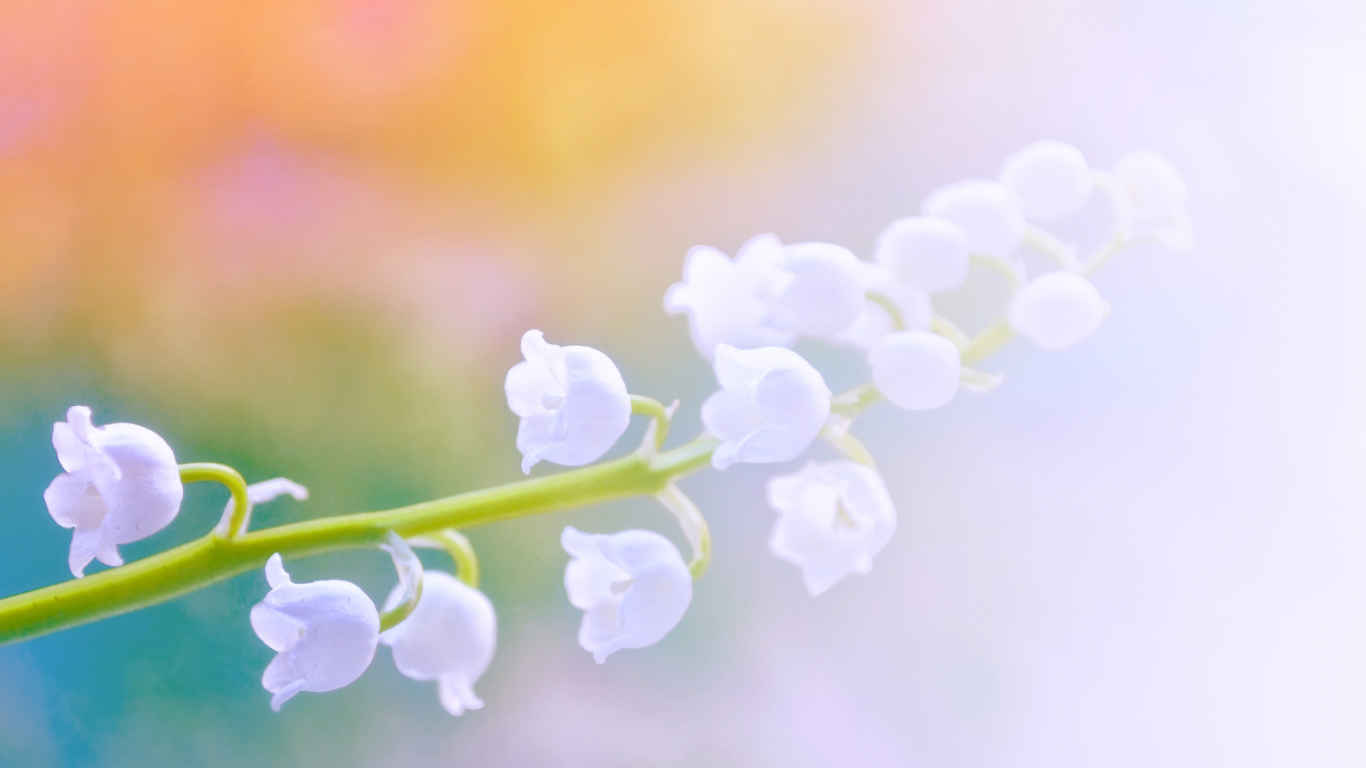 Store 2 — ThePerfumersPopUpShop