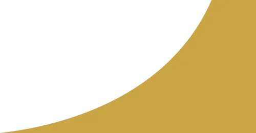 Advisory Board Architects: The Process of High Impact Boards