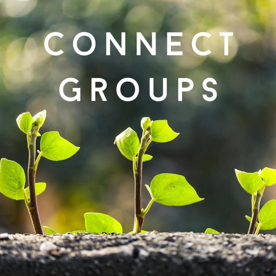 Connect Groups