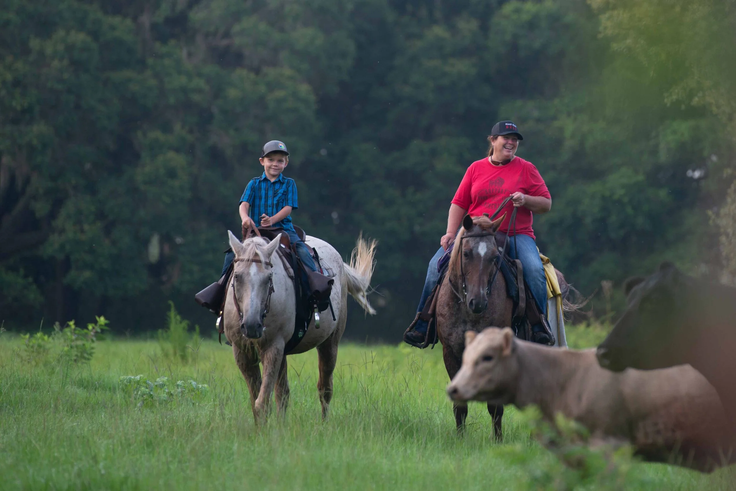 About — HM Cattle Company