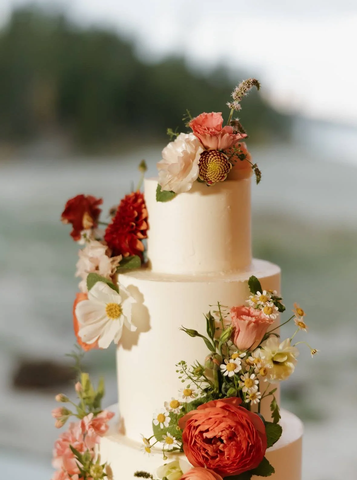 Wedding Cakes — Backyard Bakeries