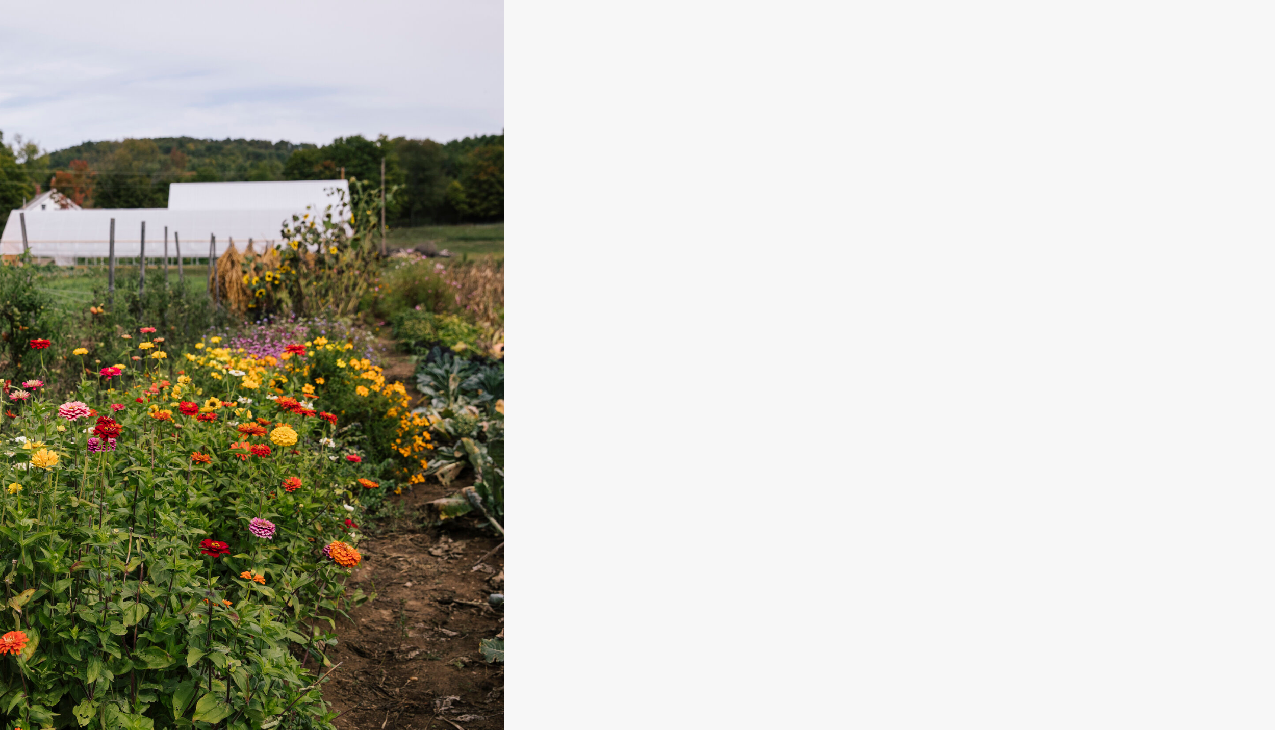 Farmstead Catering | Farm to Table Wedding Catering Adirondacks NY