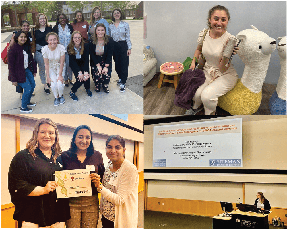 Gallery 1 — VERMA LAB @ WUSTL