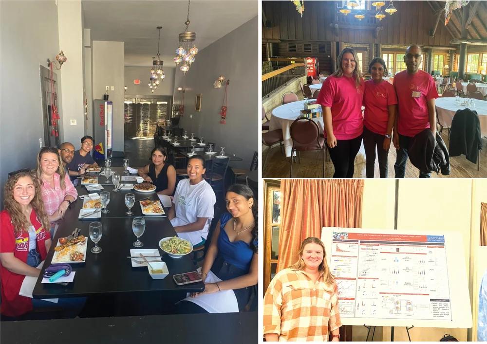 Gallery 1 — VERMA LAB @ WUSTL