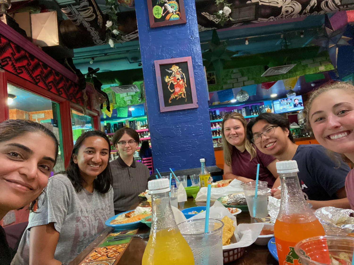 Gallery 1 — VERMA LAB @ WUSTL