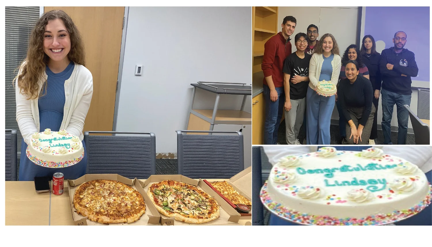 Gallery 1 — VERMA LAB @ WUSTL