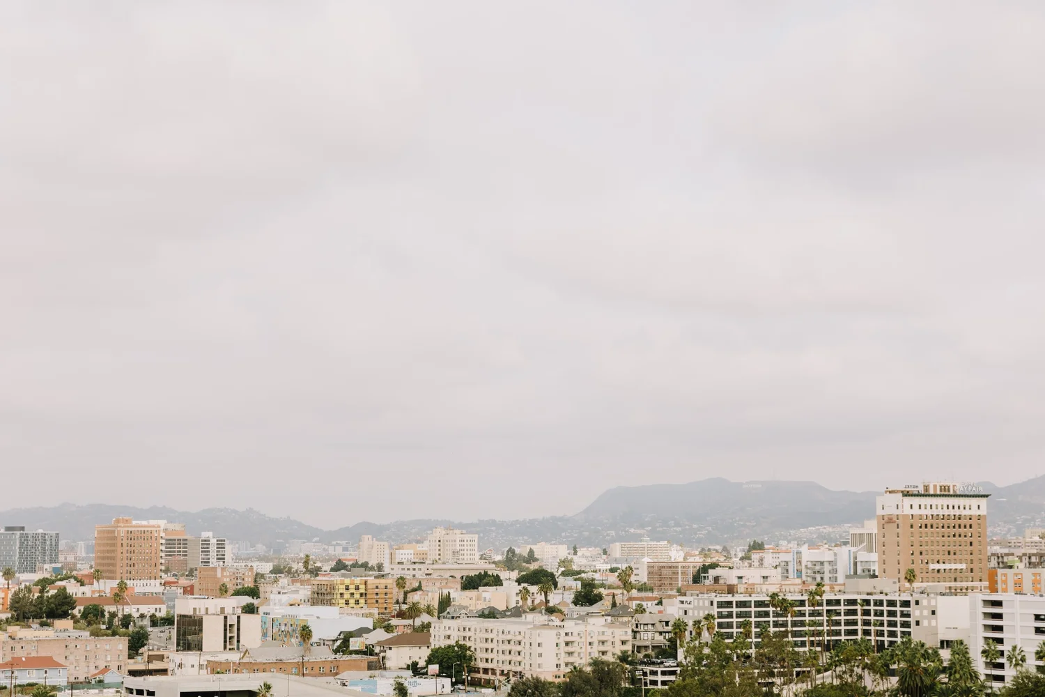 Tracey + Travis — Sugarplum & Co.