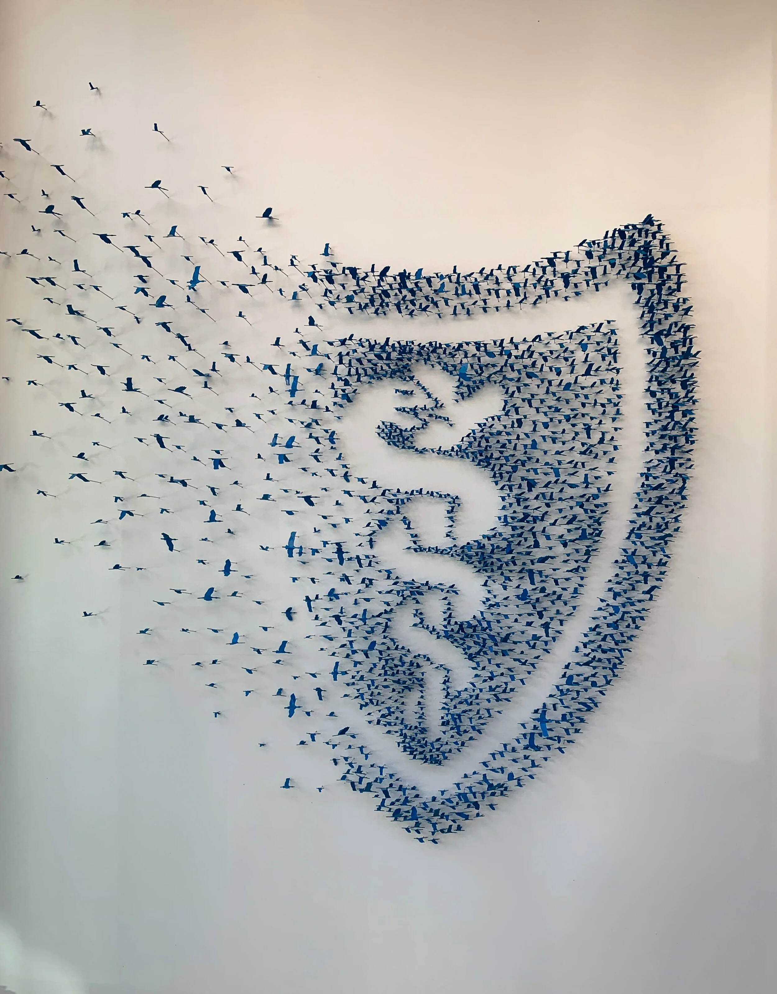 Blue shield headquarters California — Joel Amit