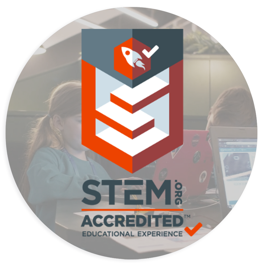 Cypher Coders - Cypher Coders