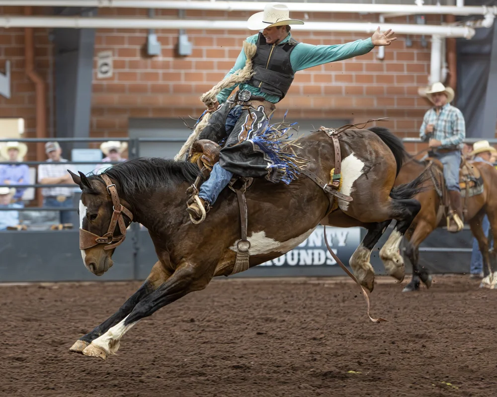 Rodeo — TobyFPhoto