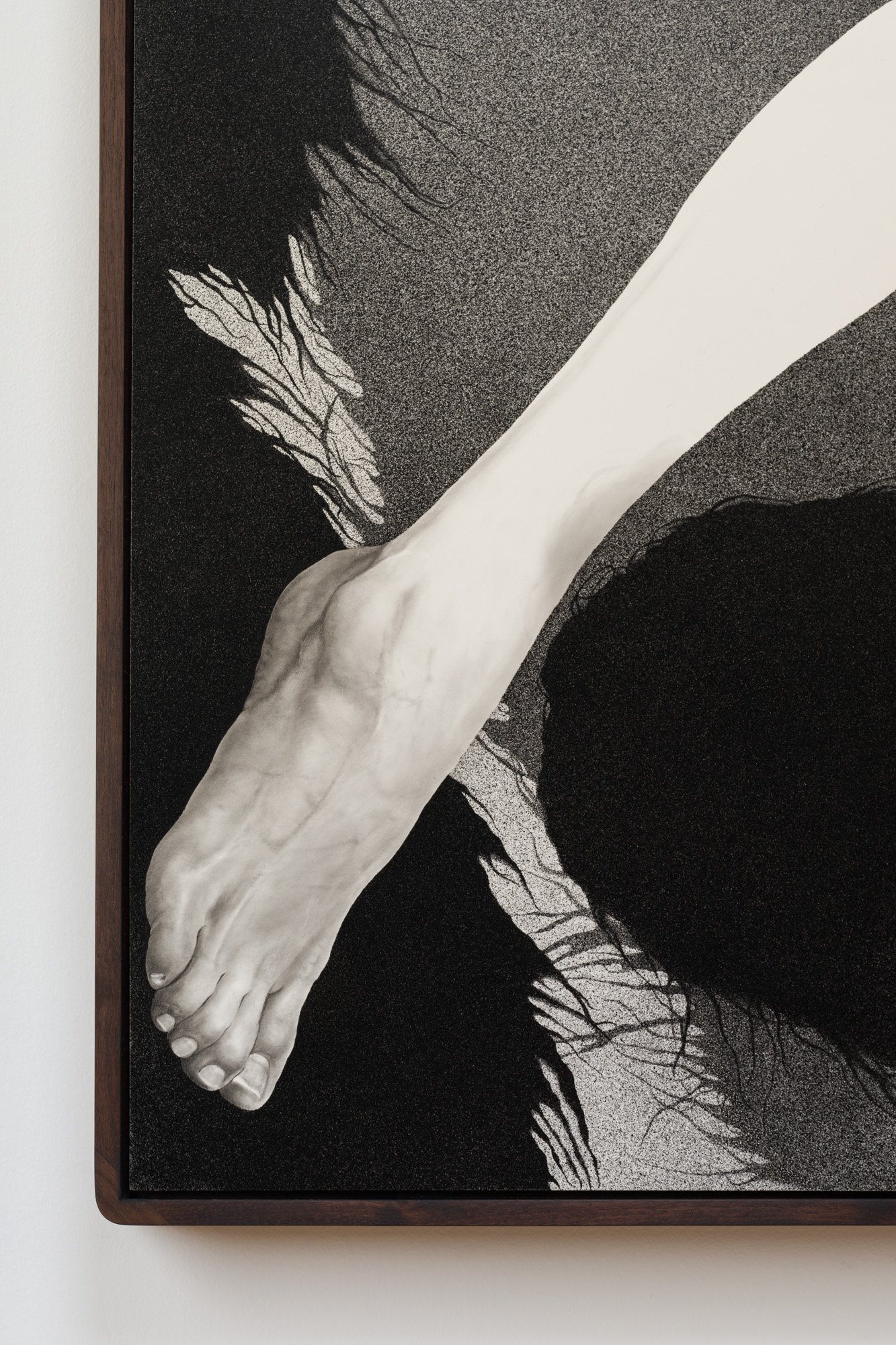 Boren Banner Series — Samantha Wall