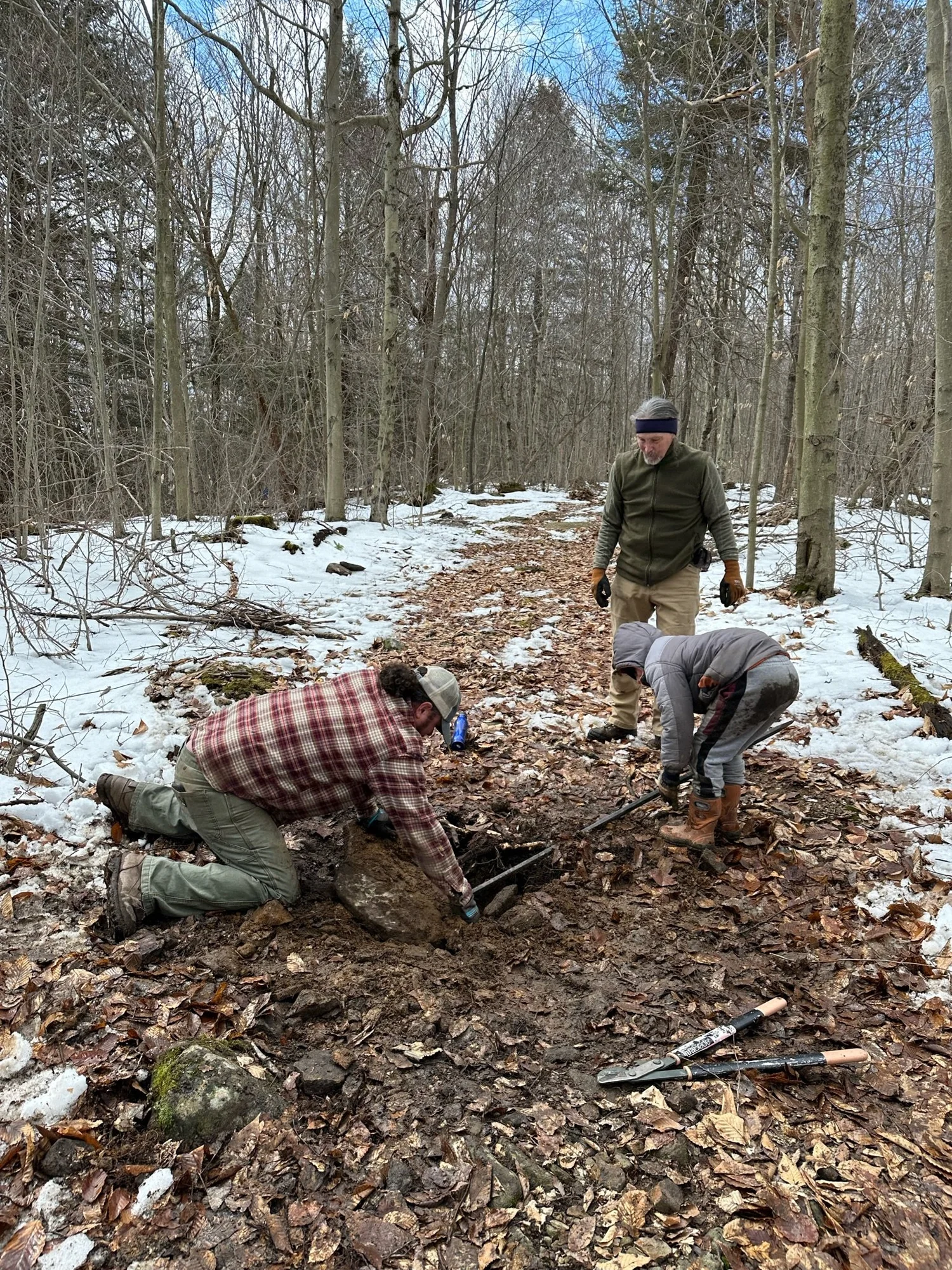The Summit Loop Trail - Sullivan County — Loyalsock Foundation