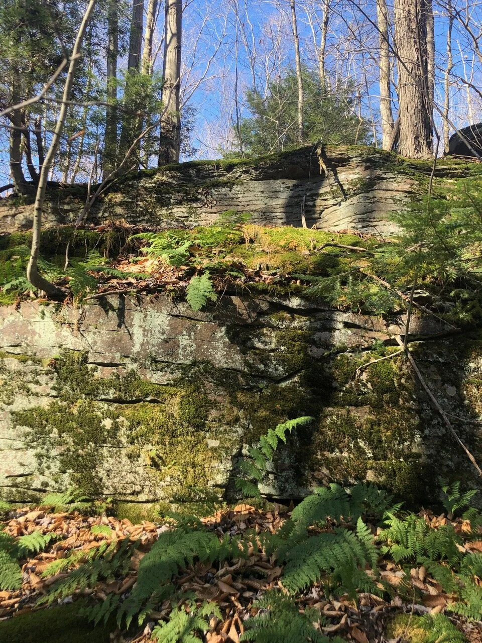 Concept Design for The Summit: Center for Wellness — Loyalsock Foundation