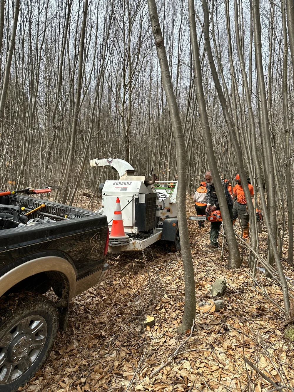 The Summit Loop Trail - Sullivan County — Loyalsock Foundation