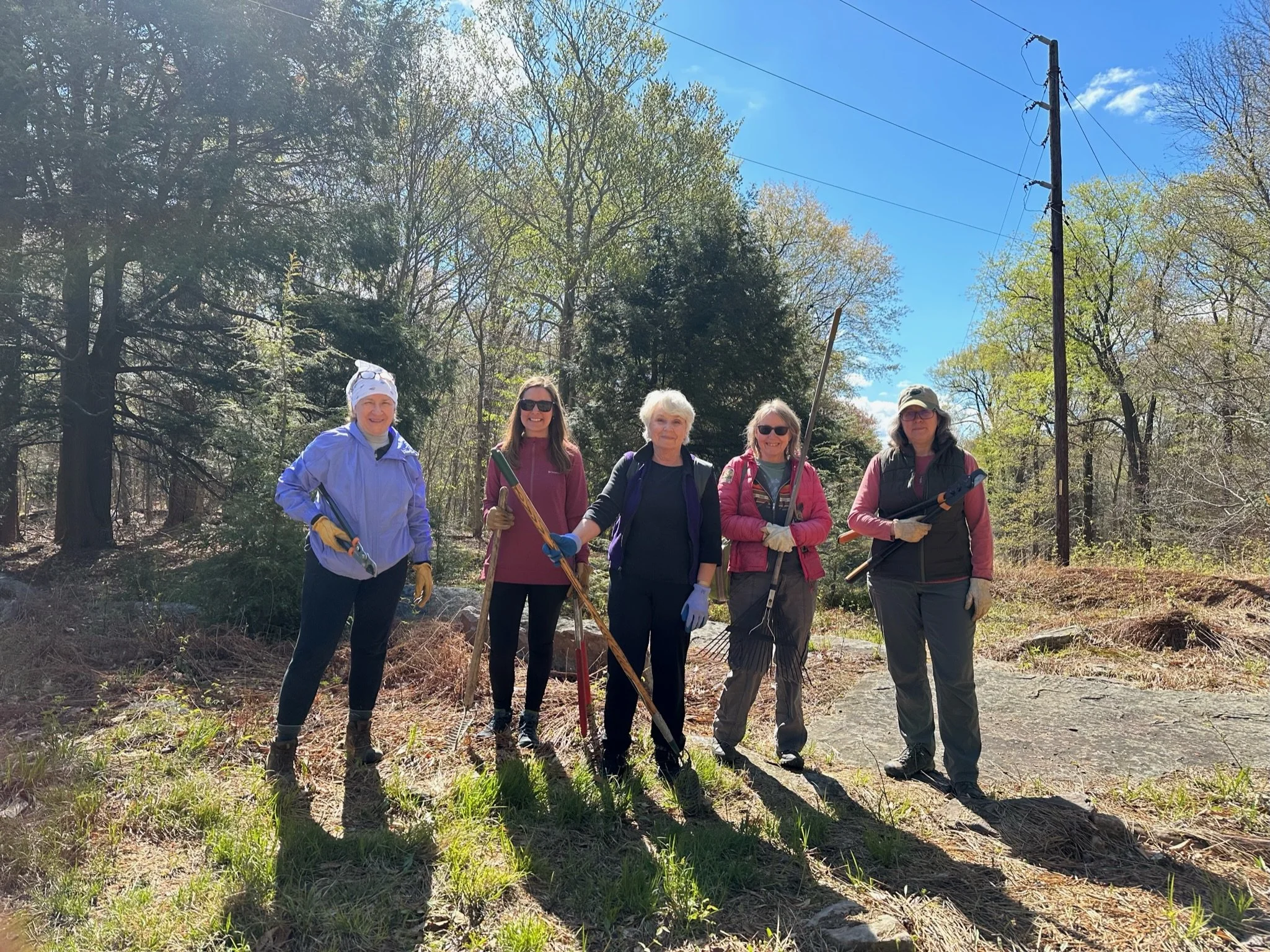 Loyalsock Foundation