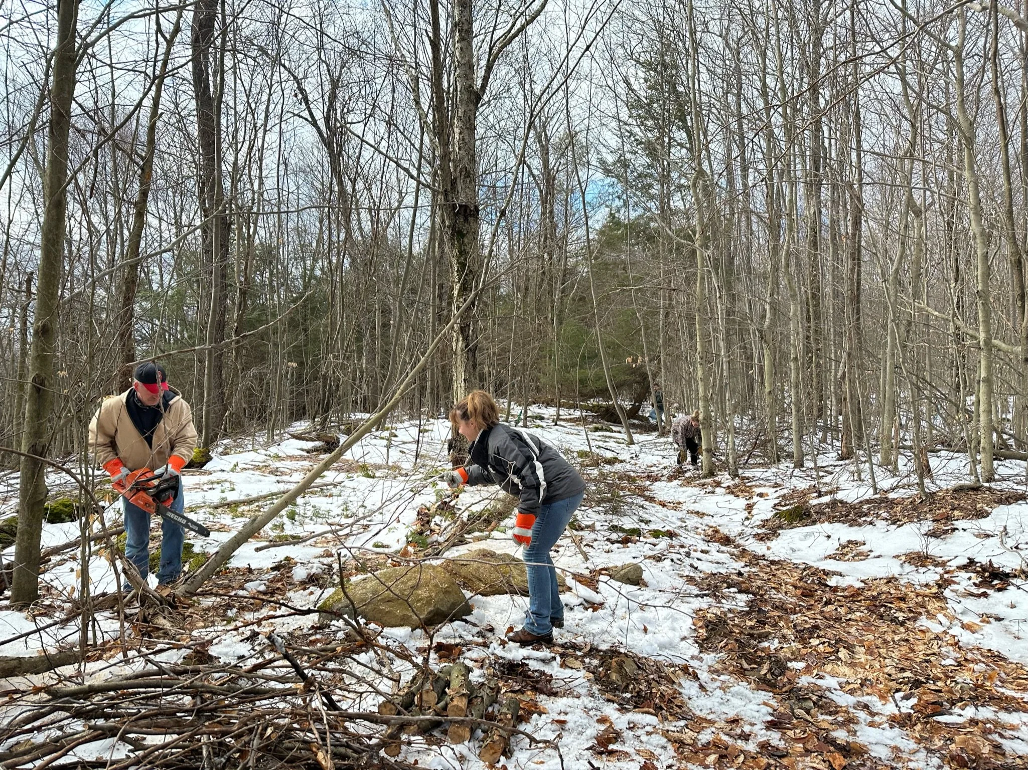 The Summit Loop Trail - Sullivan County — Loyalsock Foundation