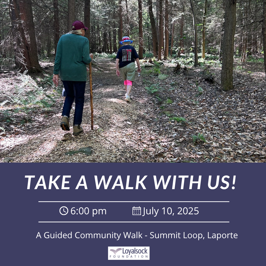 Guided Hikes - Summer Hike Series — Loyalsock Foundation