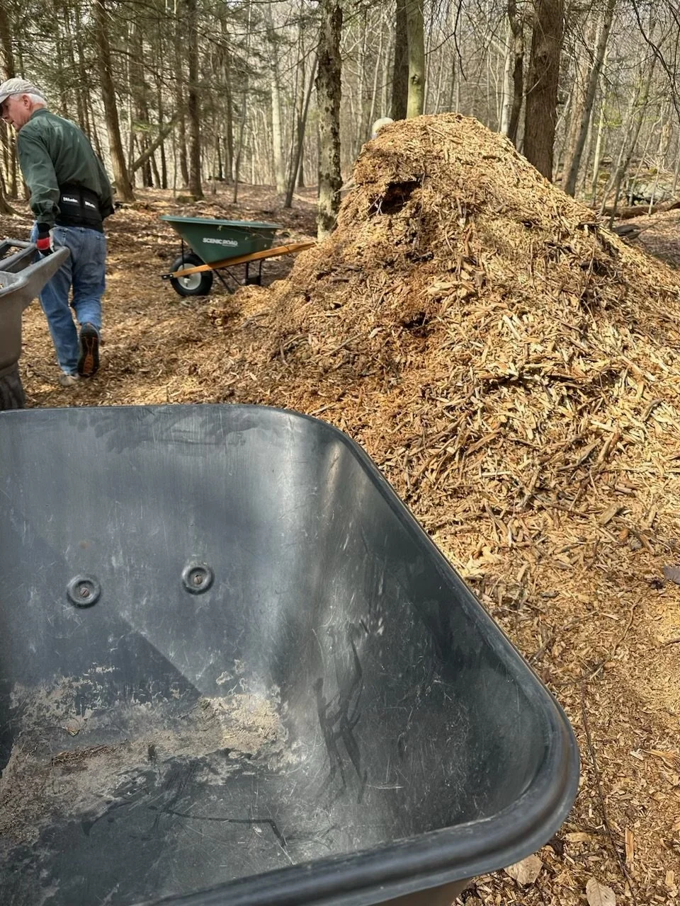 The Summit Loop Trail - Sullivan County — Loyalsock Foundation