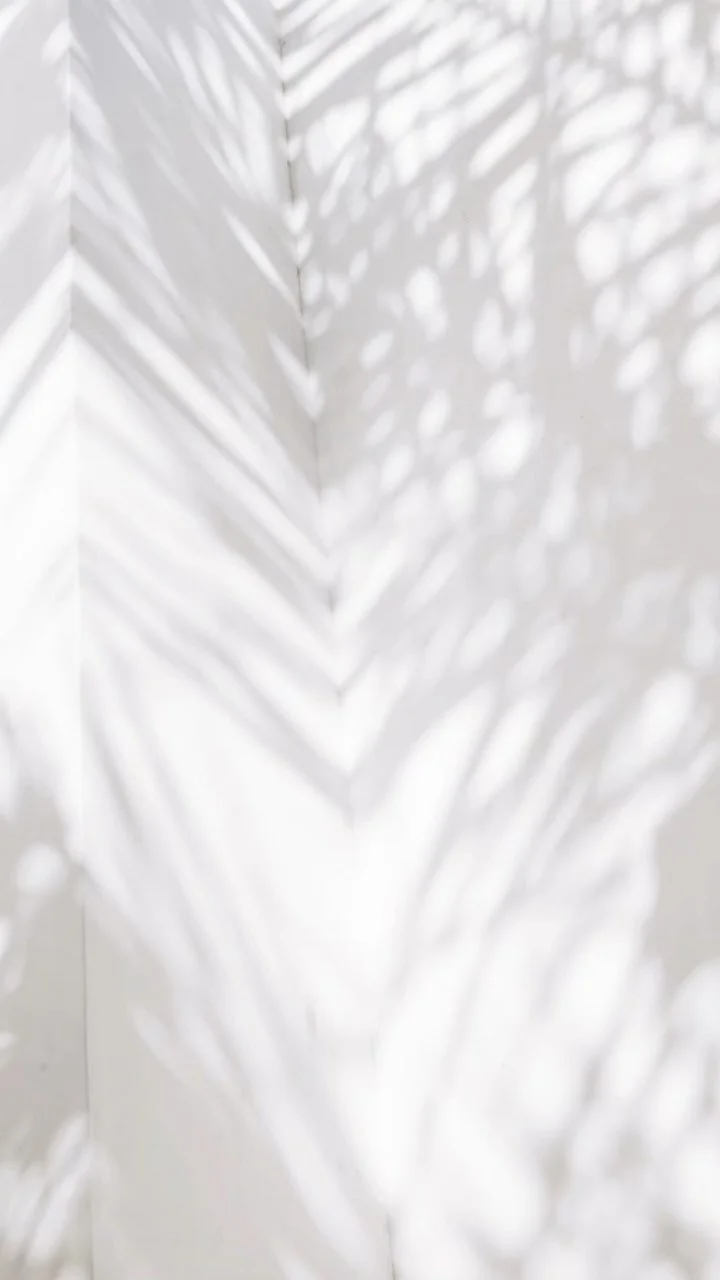 TODD — KHOURY VOGT ARCHITECTS