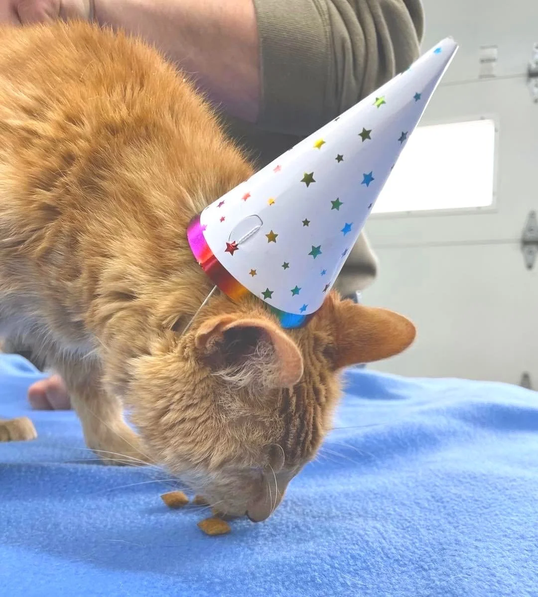 Zach's Pet Services, LLC