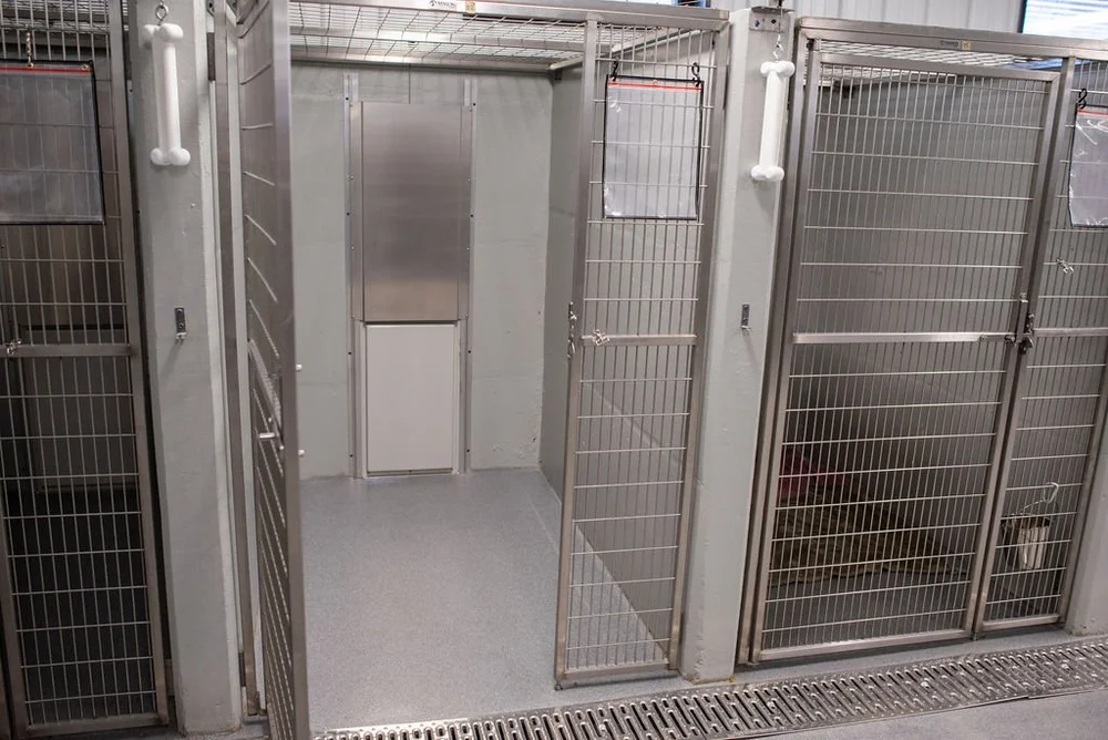 Boarding — Zach's Pet Services, LLC
