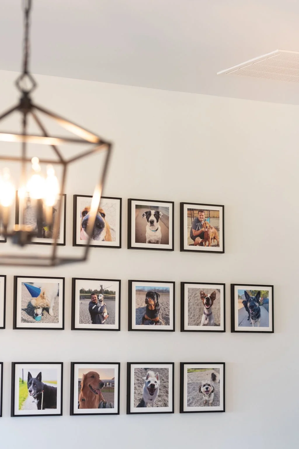 Zach's Pet Services, LLC