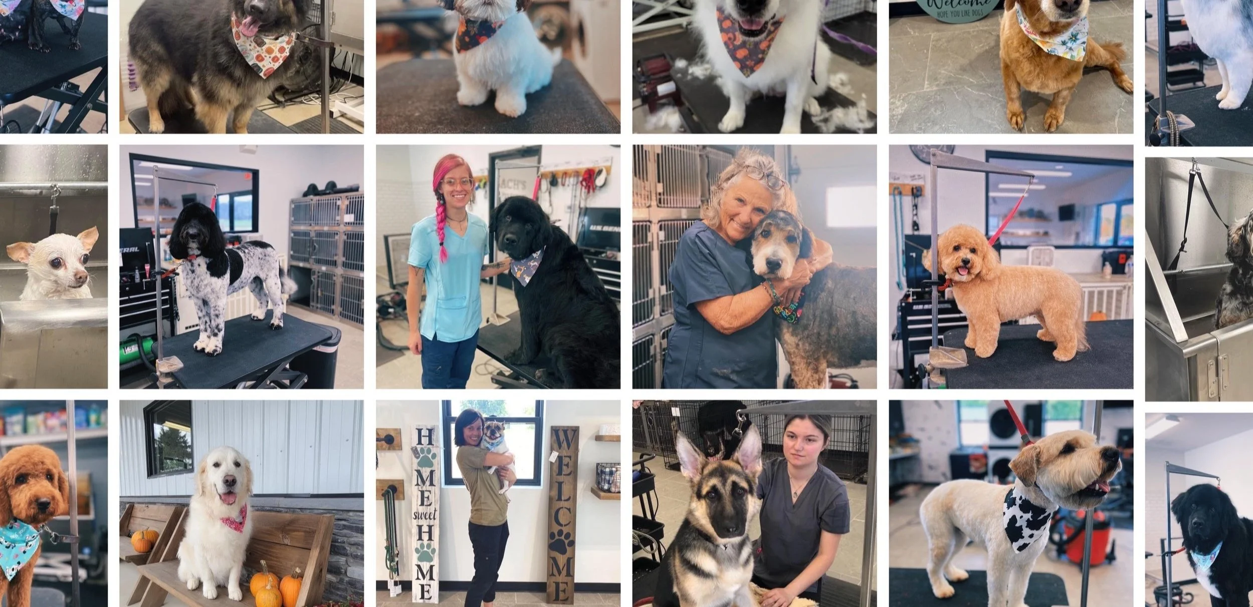 Grooming — Zach's Pet Services, LLC
