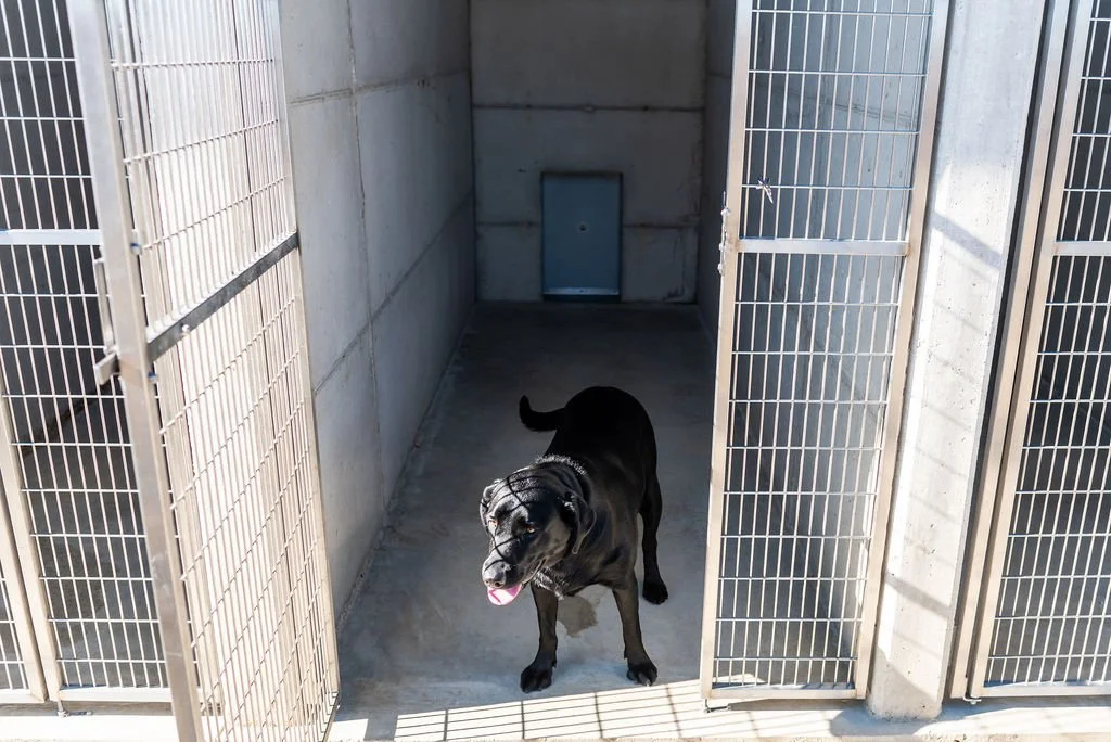 Boarding — Zach's Pet Services, LLC